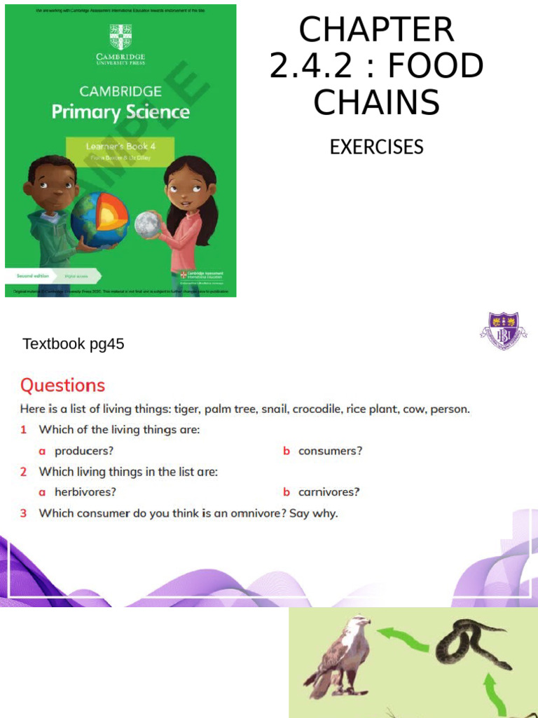 Understanding Food Chains: Exercises | PDF