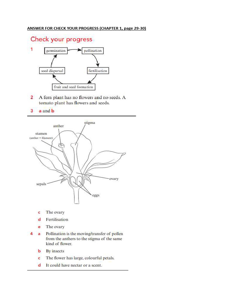 SJ11 ANSWER FOR CHECK YOUR PROGRESS Chapter 1 | PDF