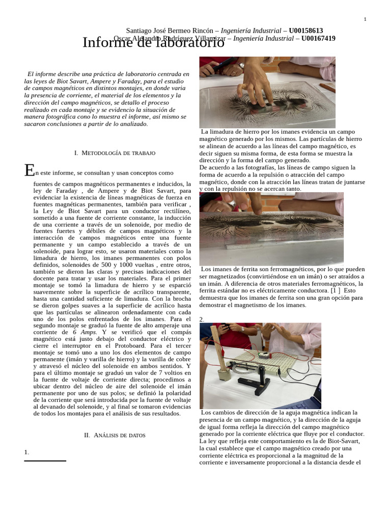 Estudio de Campos Magnéticos en Laboratorio | PDF | Imán | Magnetismo