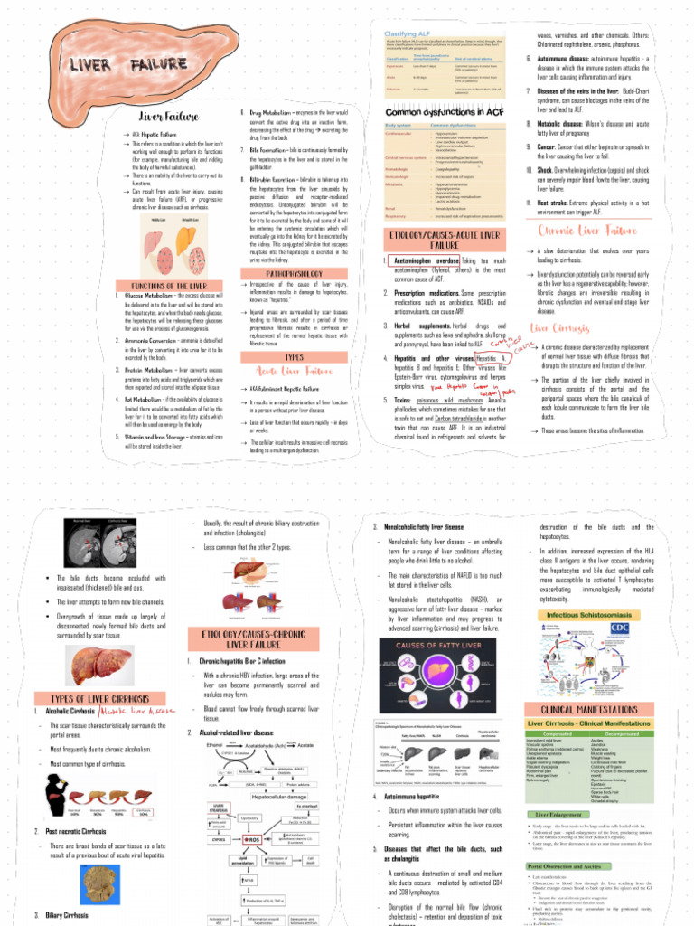 Notes Liver Failure | PDF