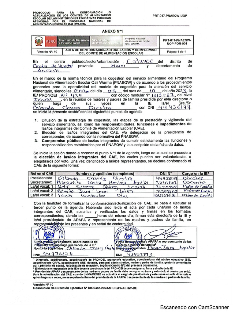 Modelo para Conformacion de Cae - 2024 | PDF