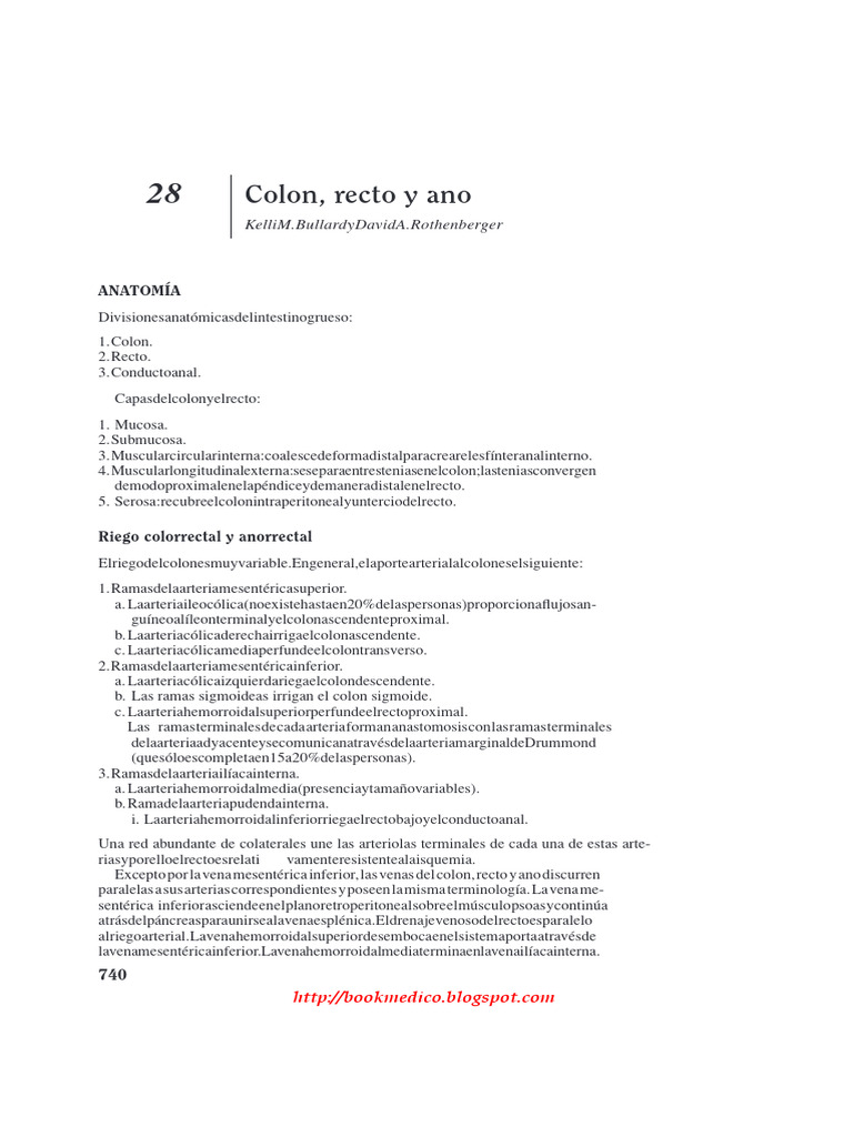 Irrigación del recto y colon | PDF | Intestino grueso | Recto