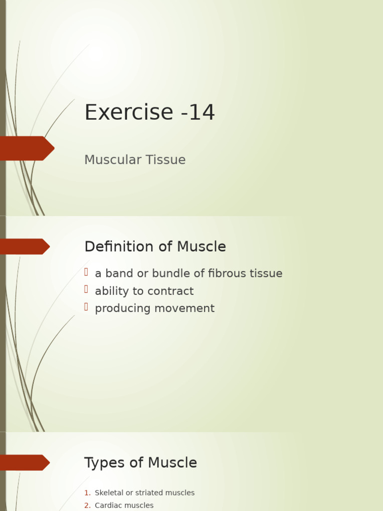 Types and Functions of Muscle Tissue | PDF | Muscle | Cardiac Muscle