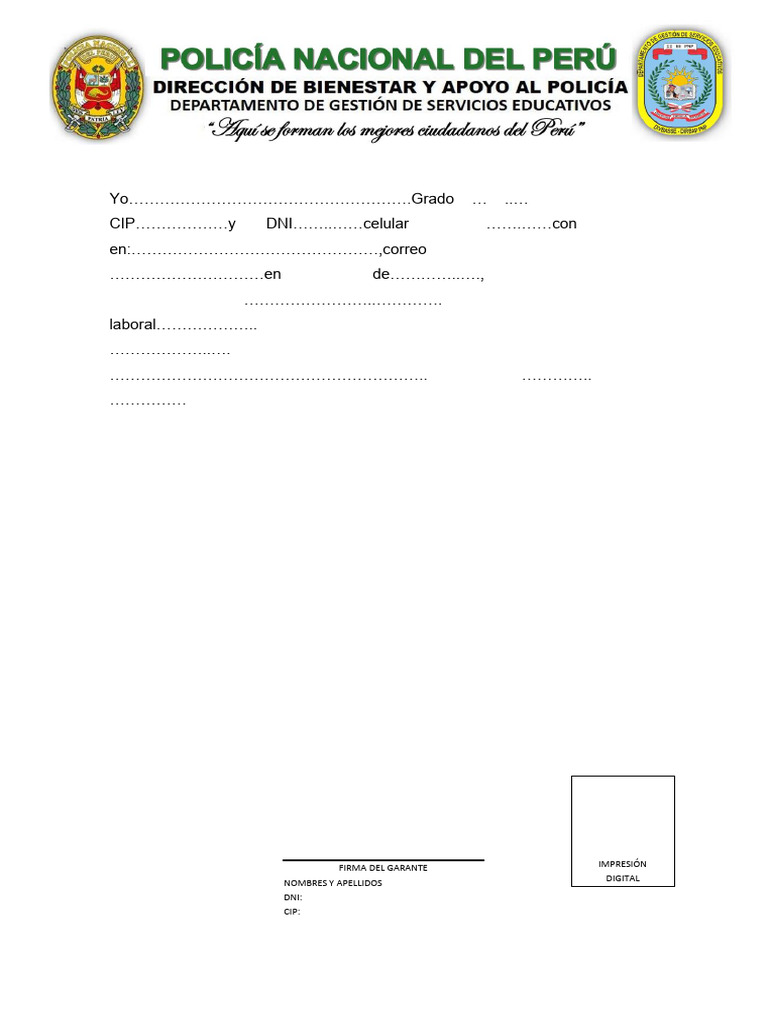 Carta Del Garante PNP | PDF