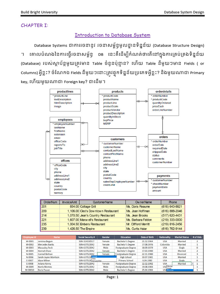 Ch1-Introduction to Db | PDF