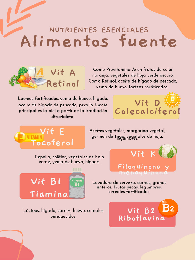 Nutrientes Esenciales y sus Fuentes | PDF | Nutrientes | Legumbre
