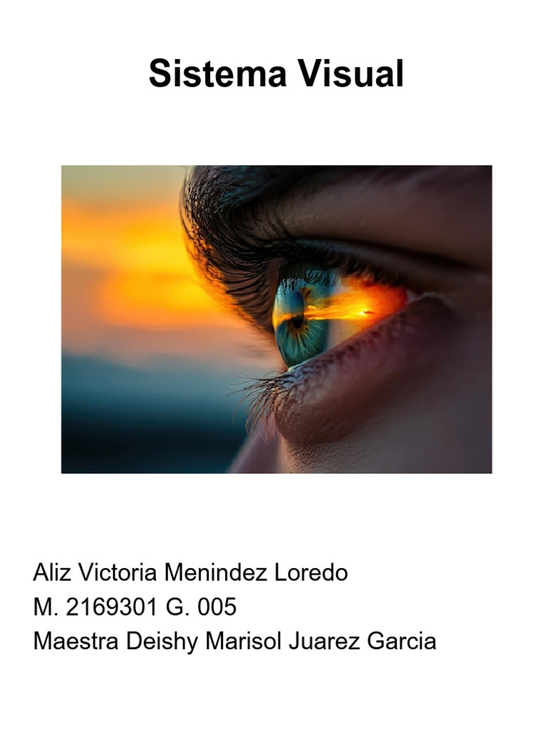 Sistema visual_ | PDF | Percepción visual | Corteza visual