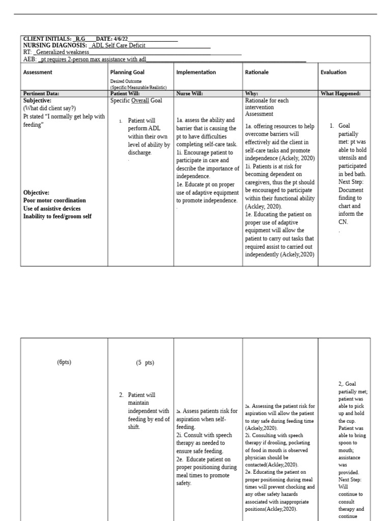 Care - Plan - Example For Next Year | PDF | Medical Specialties ...