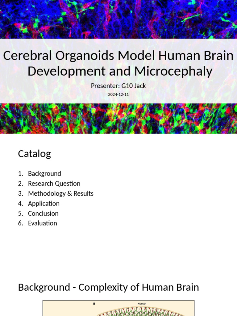 Cerebral Organoids and Microcephaly Research | PDF | Health Sciences ...