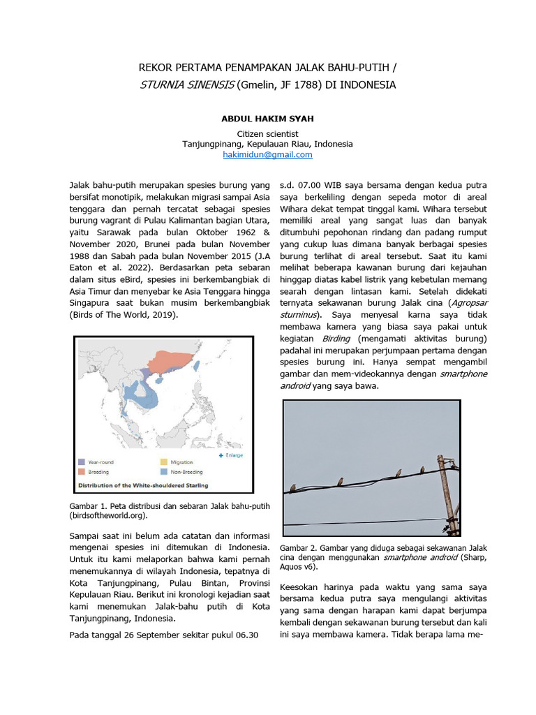 Rekor pertama penampakan Jalak bahu-putih di Indonesia_Hakimidun | PDF