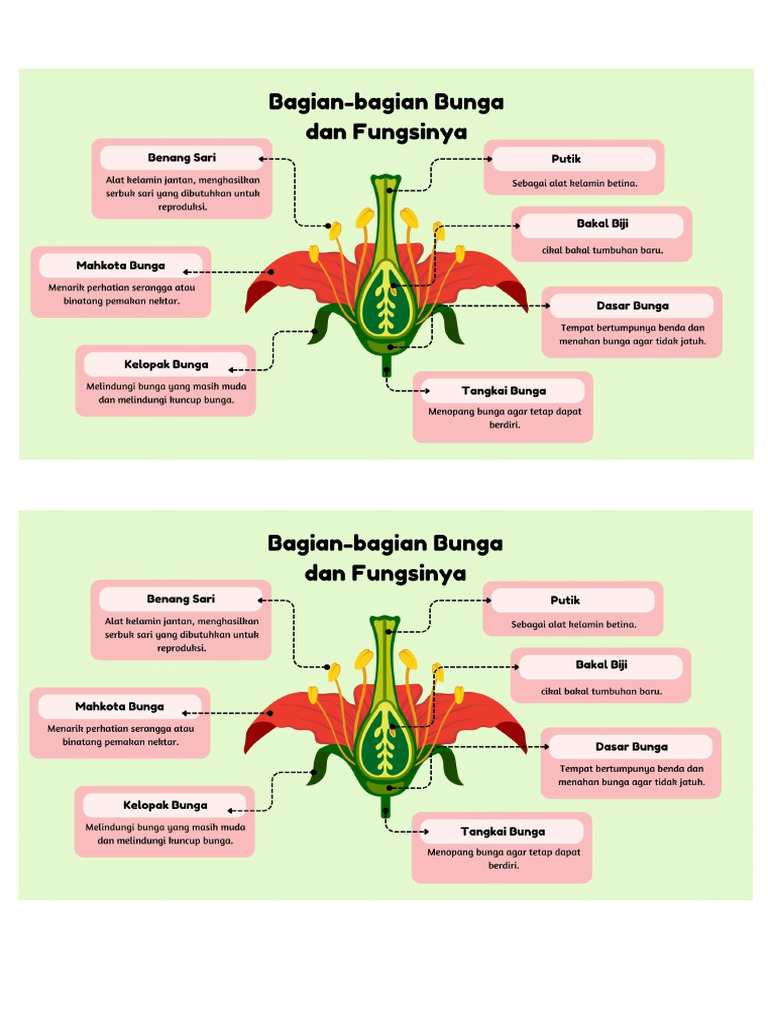 Bagian Bagian Bunga | PDF