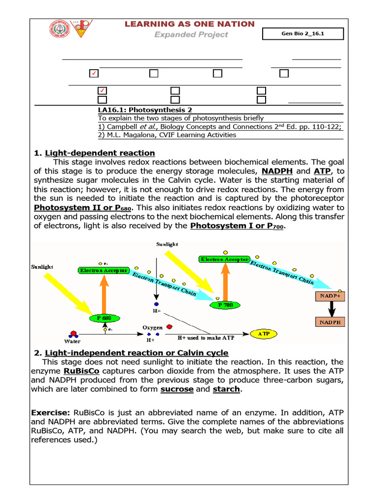 Gen Biology 2 LAS 16.1 Photosynthesis 2 | PDF