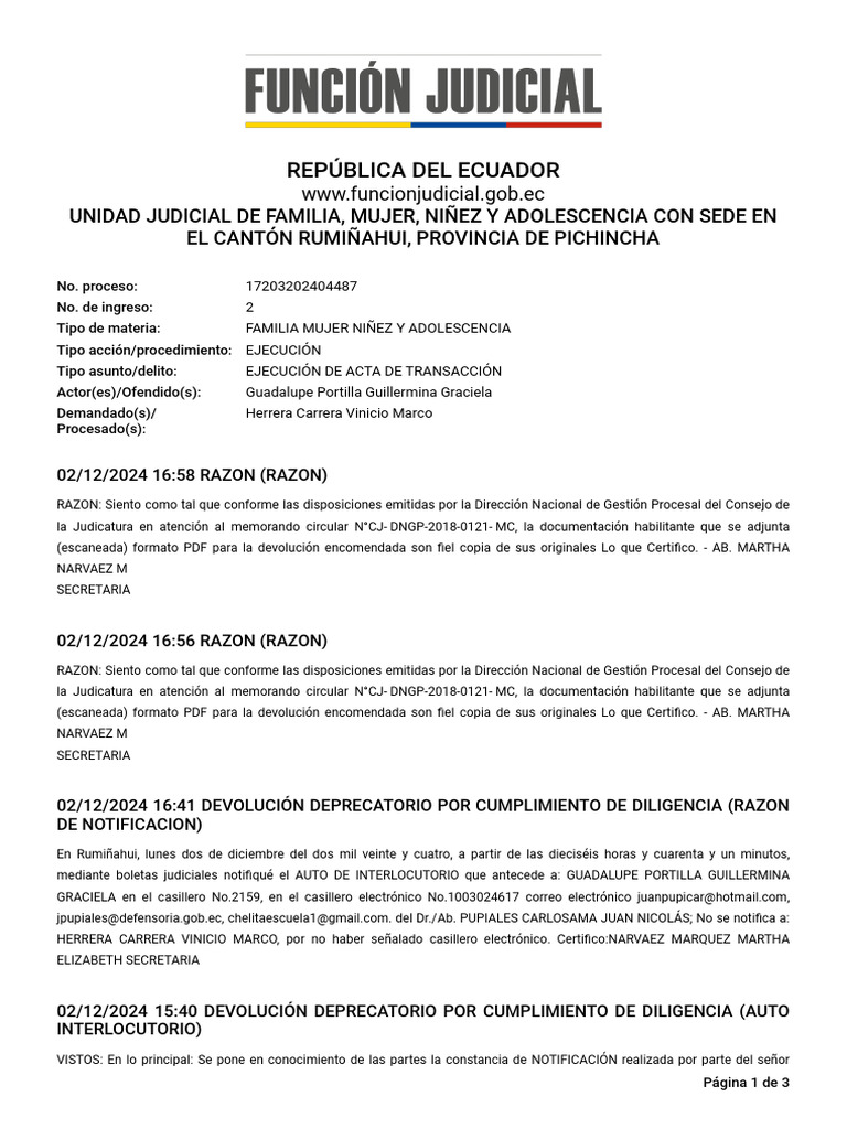Expel 17203202404487 26916590 30012025 | PDF | Separación de poderes ...