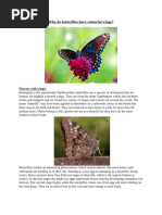 Classroom Butterfly Camouflage Activity | PDF | Camouflage | Mimicry