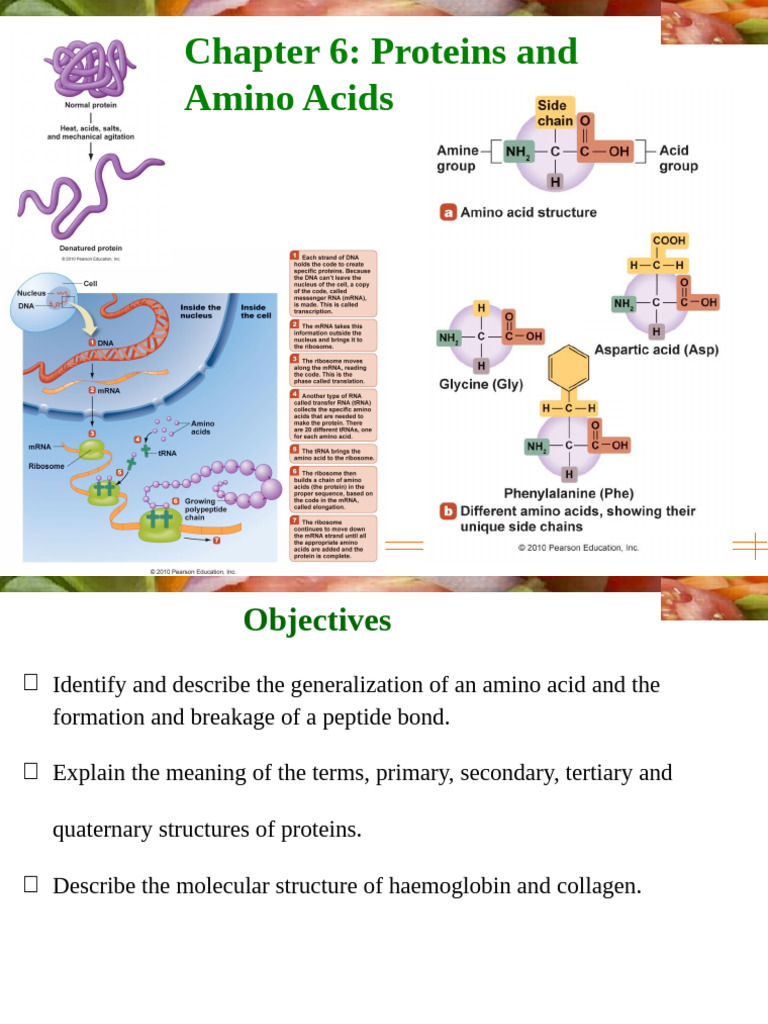 Amino Acids and Proteins | PDF | Collagen | Amino Acid