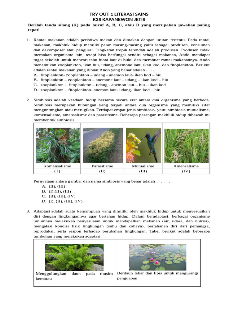 Soal Try Out 1 Literasi Sains Kkg Jetis | PDF