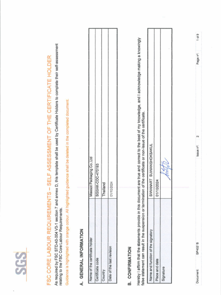 MSP Self Assessment | PDF