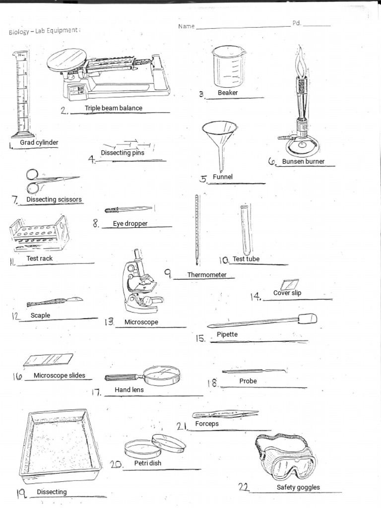 Kami Export - Jarod Houser - scanner@palmbeachschools.org_20210810 ...