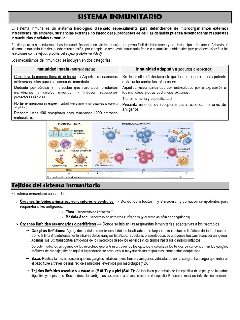 Anatomía Patológica - Sistema Inmunitario | PDF | Sistema inmune | Célula T