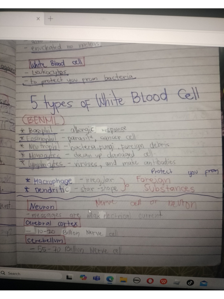 PDFReader 20241104 1938 | PDF