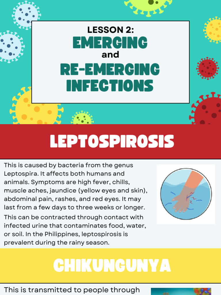 Lesson 2 - Emerging and Re-Emerging Infections | PDF | Influenza | Virus