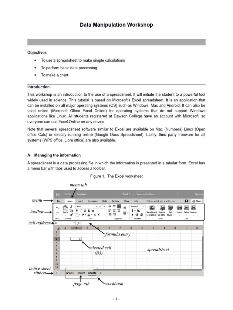Data Manipulation Workshop | PDF | Microsoft Excel | Spreadsheet
