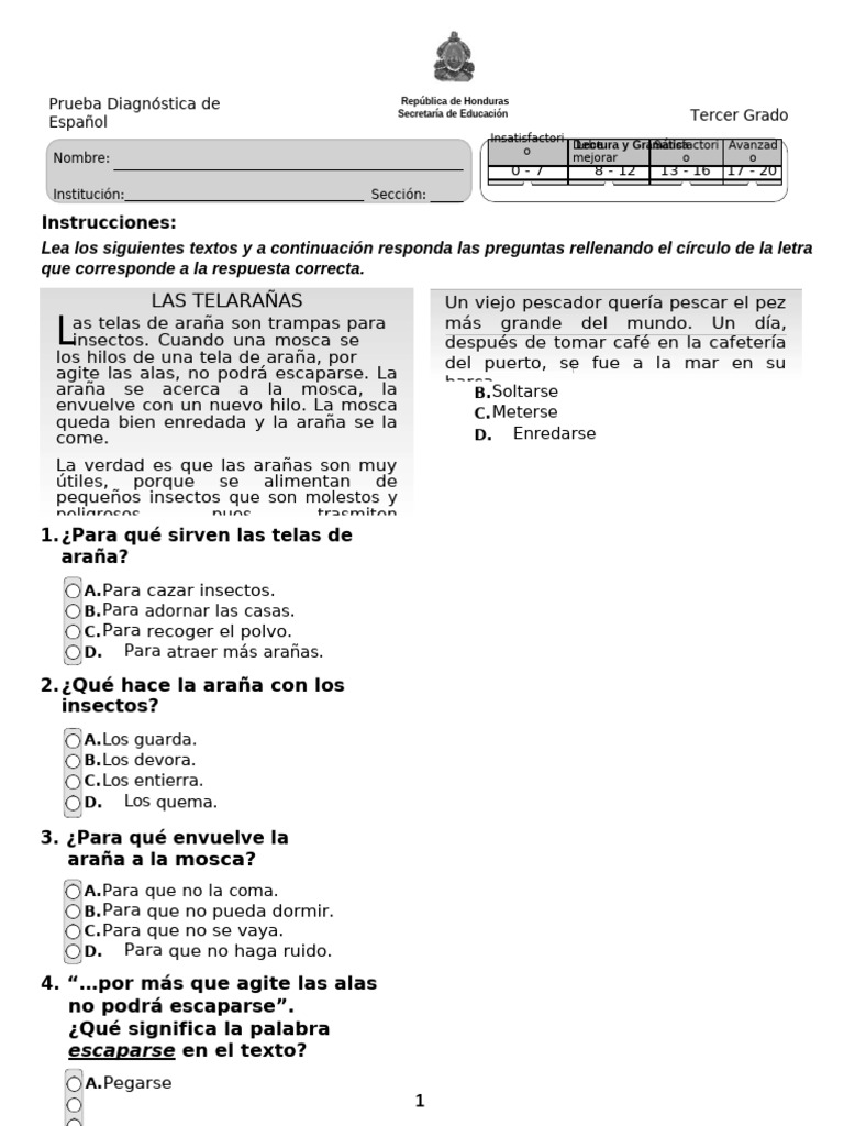 Prueba Diagnóstica de Español | PDF | Telaraña | Araña