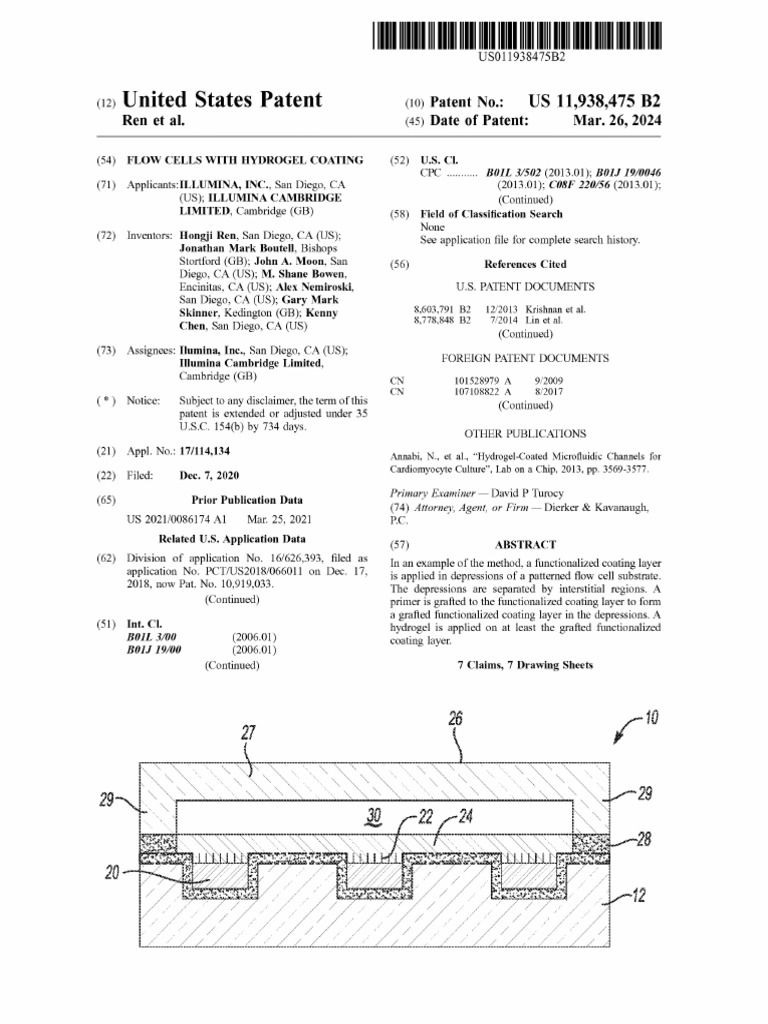 US11938475 - Flow Cells With Hydrogel Coating | PDF