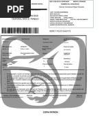 Formato Incapacidad Imss Editable Word | PDF