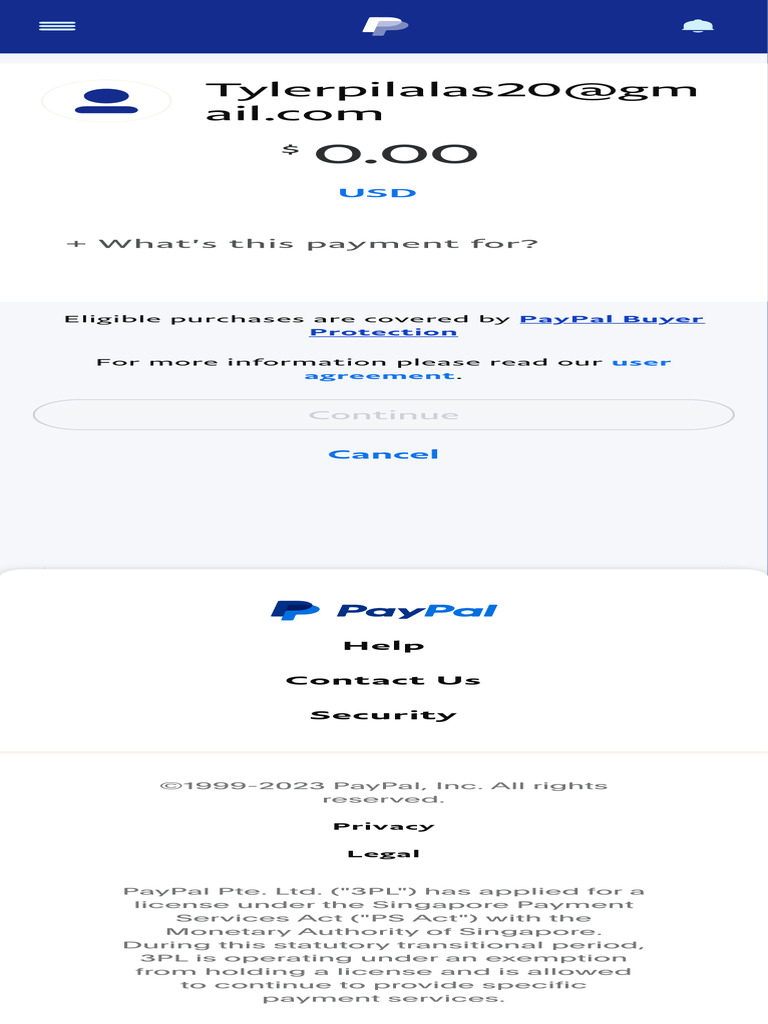 PayPal Make a Payment Preview 3 | PDF