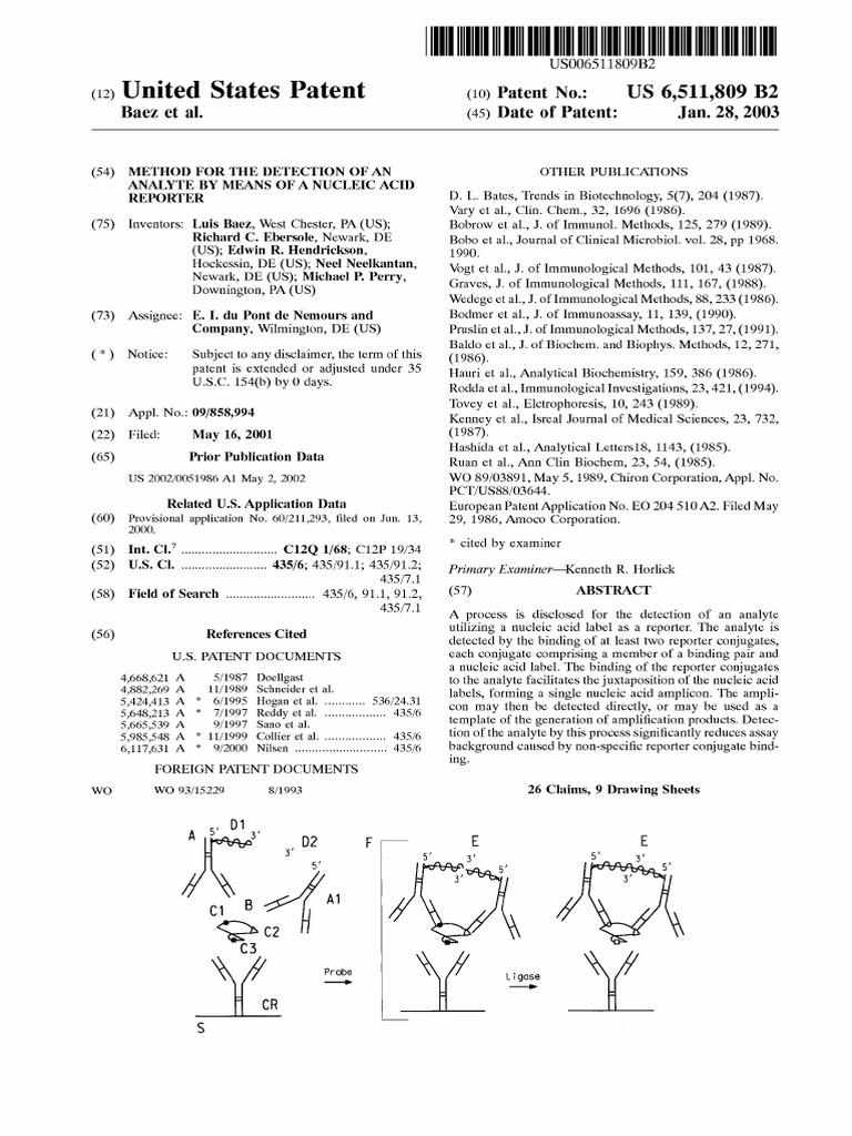 US6511809_Method for the Detection of an Analyte by Means of a Nucleic ...