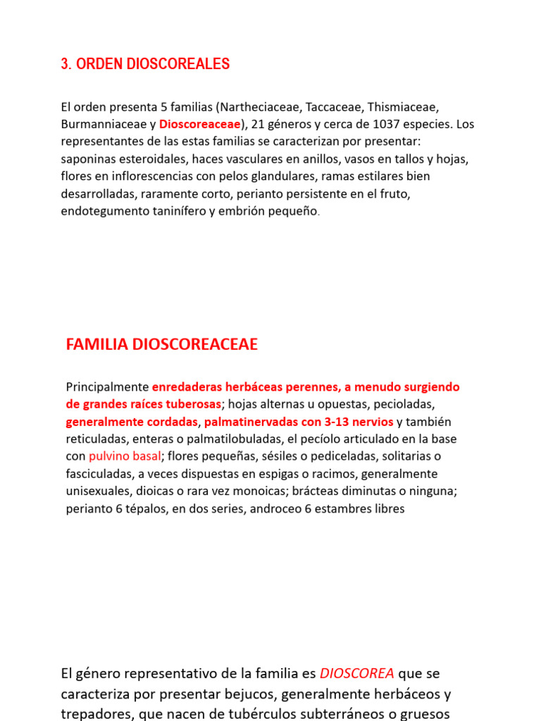4.2. Orden Dioscoreales | PDF | Ramas de la botánica | Morfología Vegetal