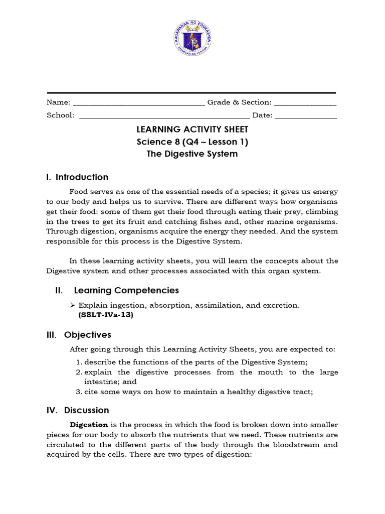 Digestive System Overview for Grade 8 | PDF | Digestion | Human ...