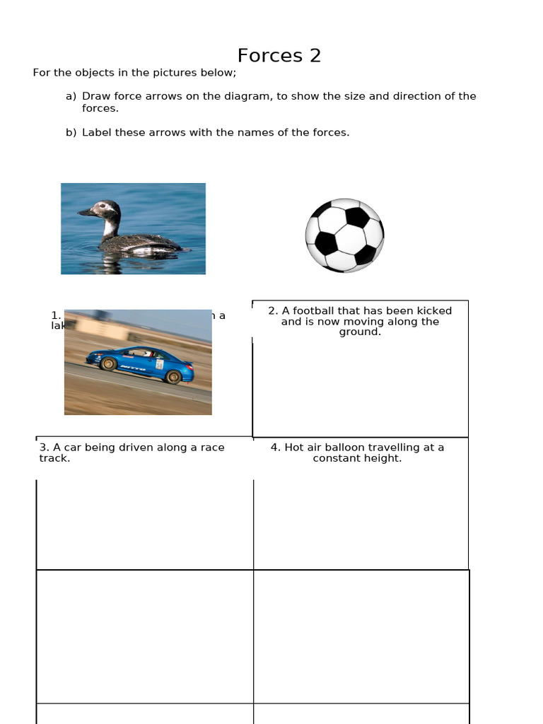 Rania Umar - Force Diagrams | PDF