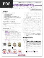 Tecnica Da Silhueta | PDF | Boca | Anatomia dental