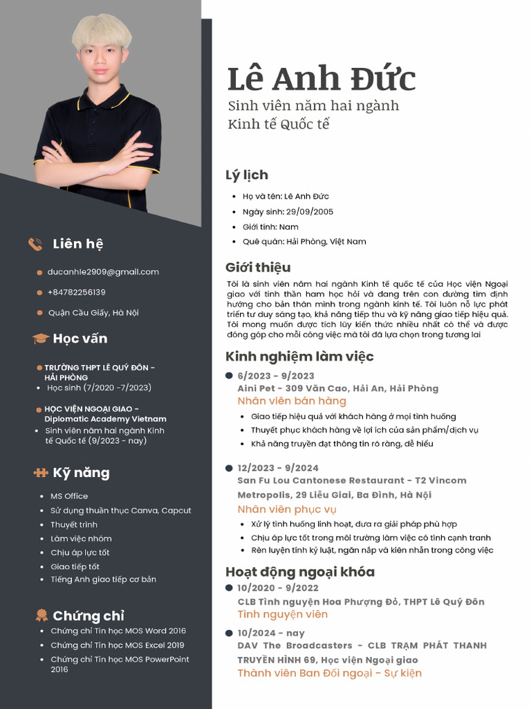 CV - Le Anh Duc | PDF