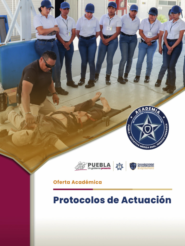 06 Protocolos de Actuacion | PDF | Policía | Violencia
