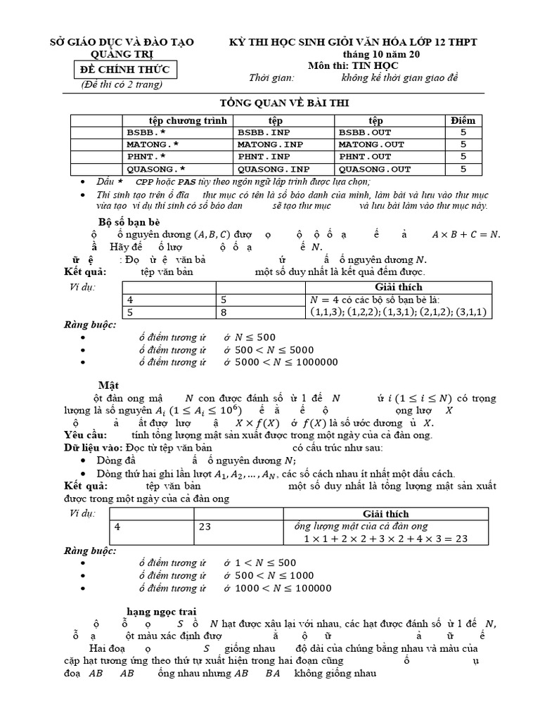 2020 HSG12-THPT | PDF