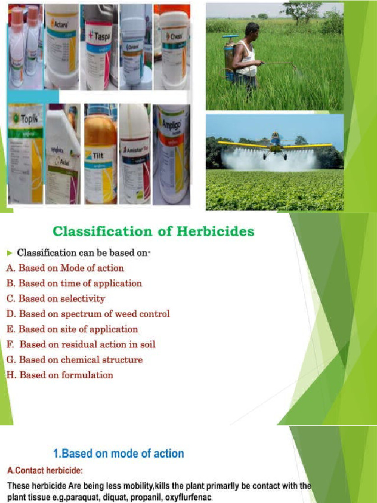 Classification of Herbicide | PDF