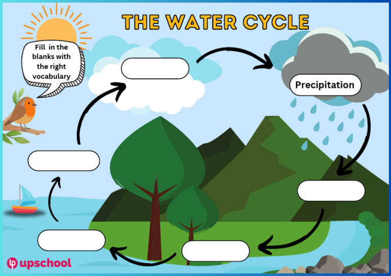 The Water Cycle Horizontal Poster | PDF