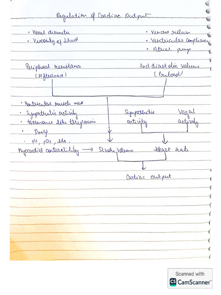 Cvs Flowchart | PDF