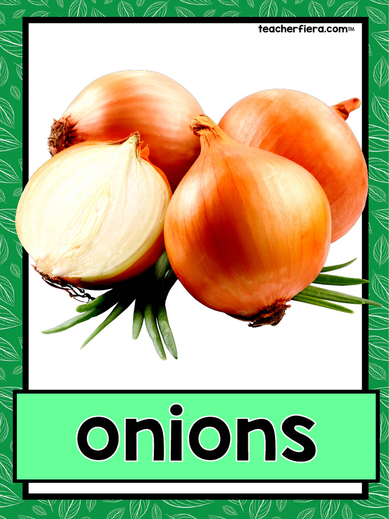 6 Food Please Flashcards | PDF