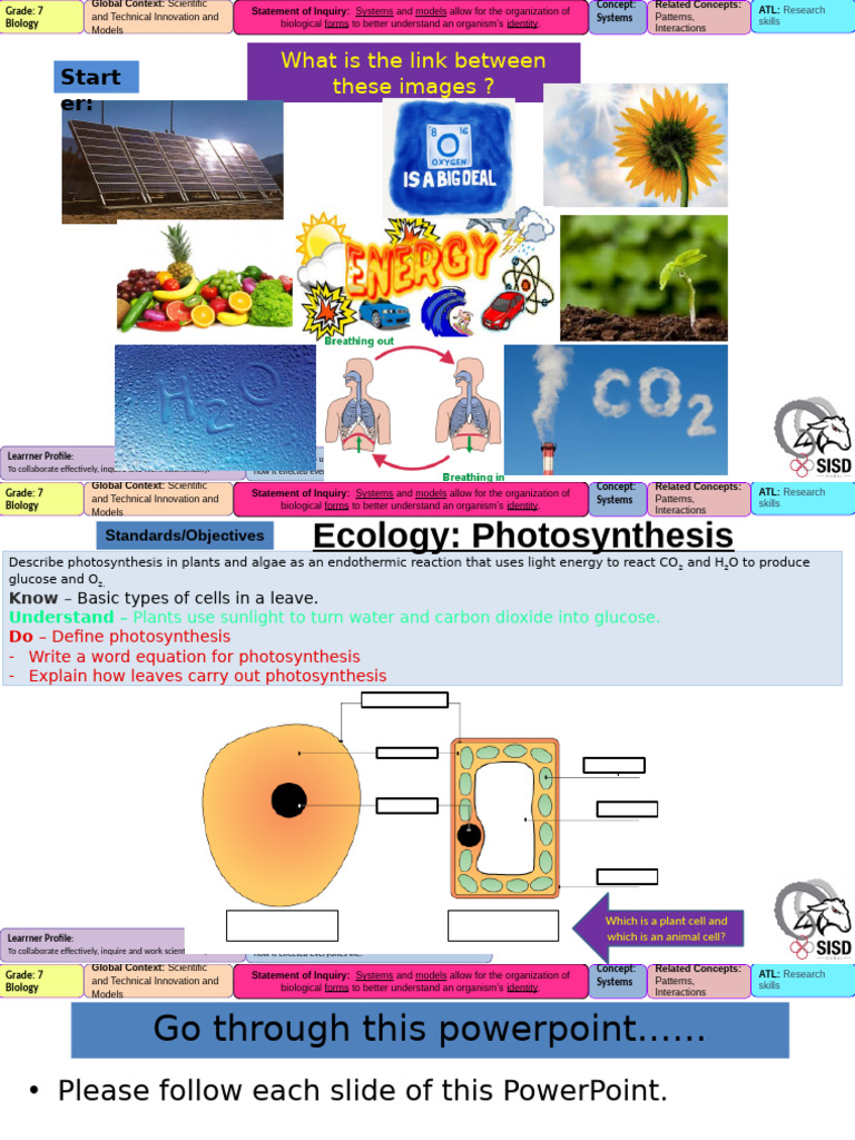 L3 Photosynthesis Part 1 | PDF | Photosynthesis | Biology