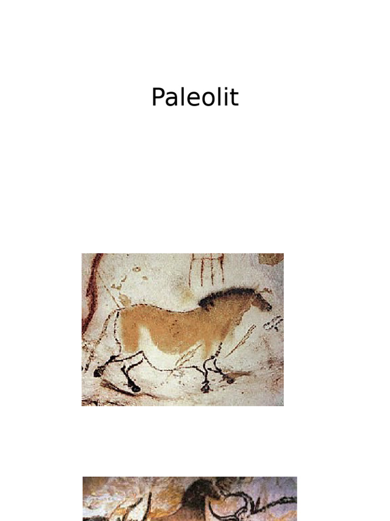 Paleolit | PDF