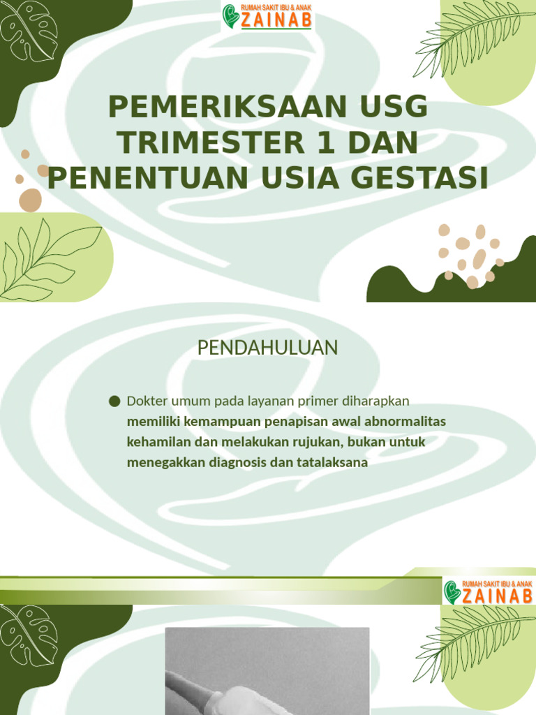 Zainab - Pemeriksaan Usg Trimester 1 Dan Penentuan Usia Gestasi | PDF