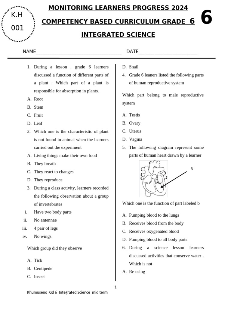 Grade 6 Integrated Science | PDF