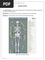 Level 2 Anatomy and Physiology 50 Mock Questions + Answers | PDF ...