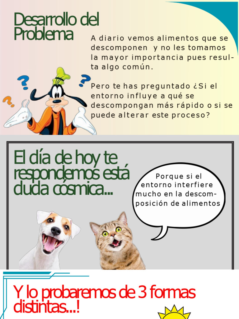 Experimento Cientifico - Leonardo Mejia - 1 | PDF | Fertilizante ...