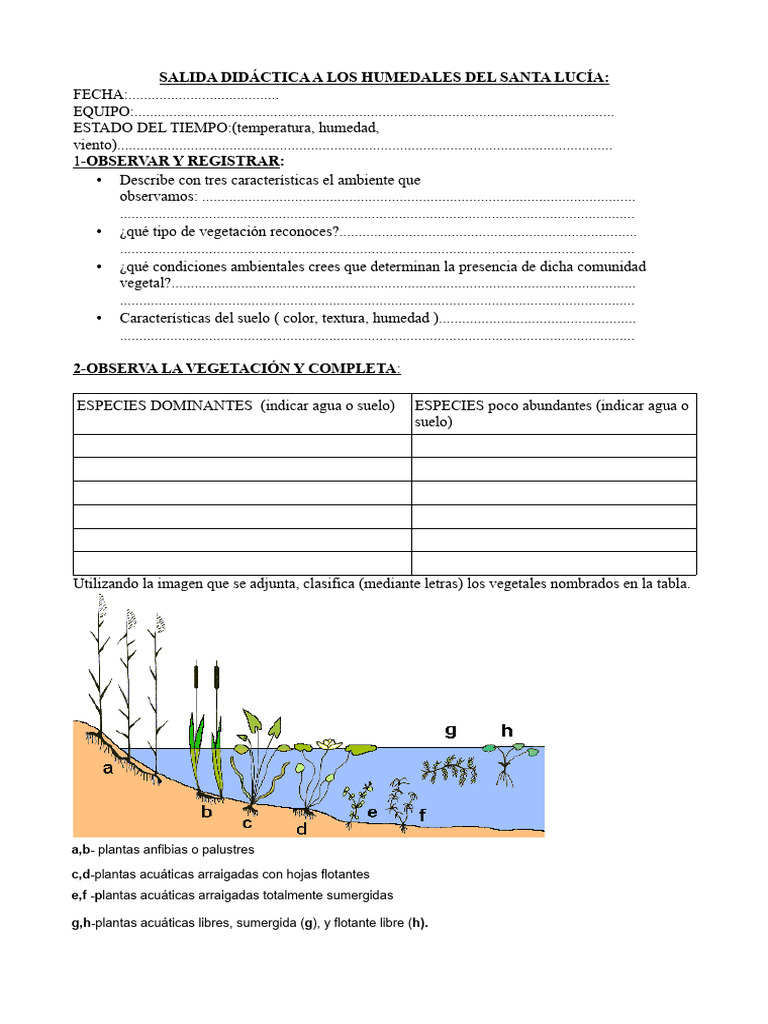 Act Pract Humedales | PDF | Humedal | Suelo