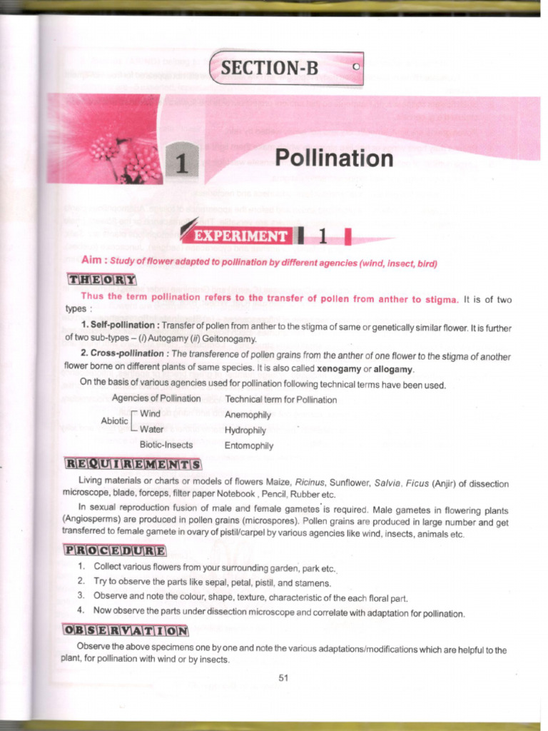 Bio Experiment - 5 | PDF